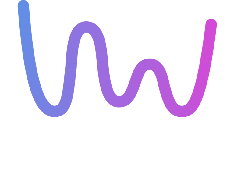 WILD WITS GAMES : a French indie studio